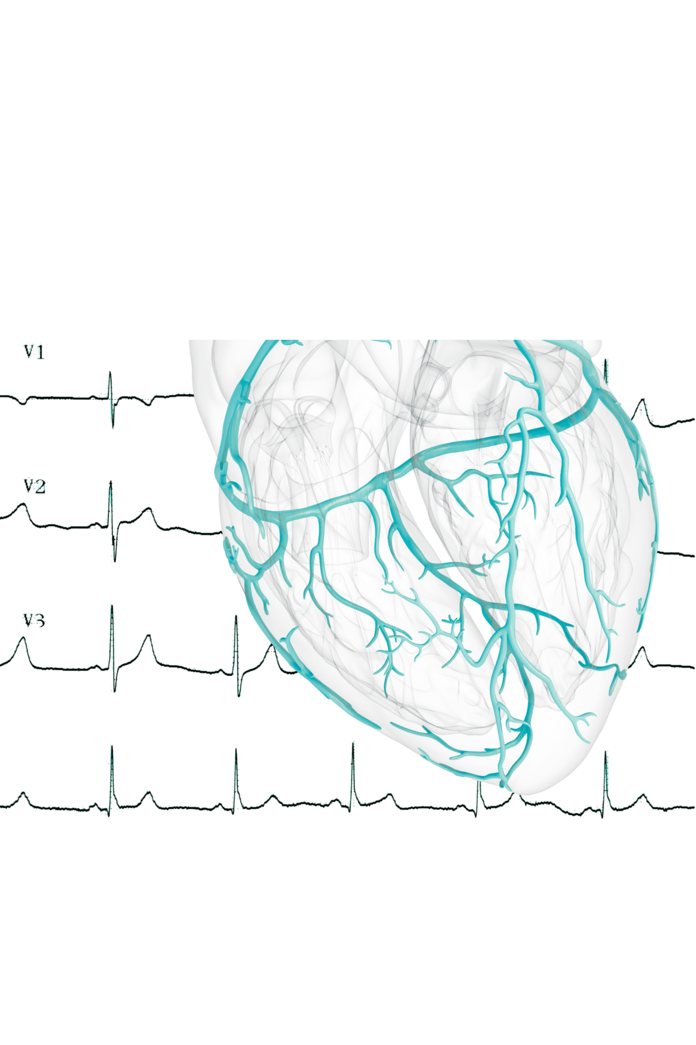 ECG in Practice - Cardiac Physiology in Practice